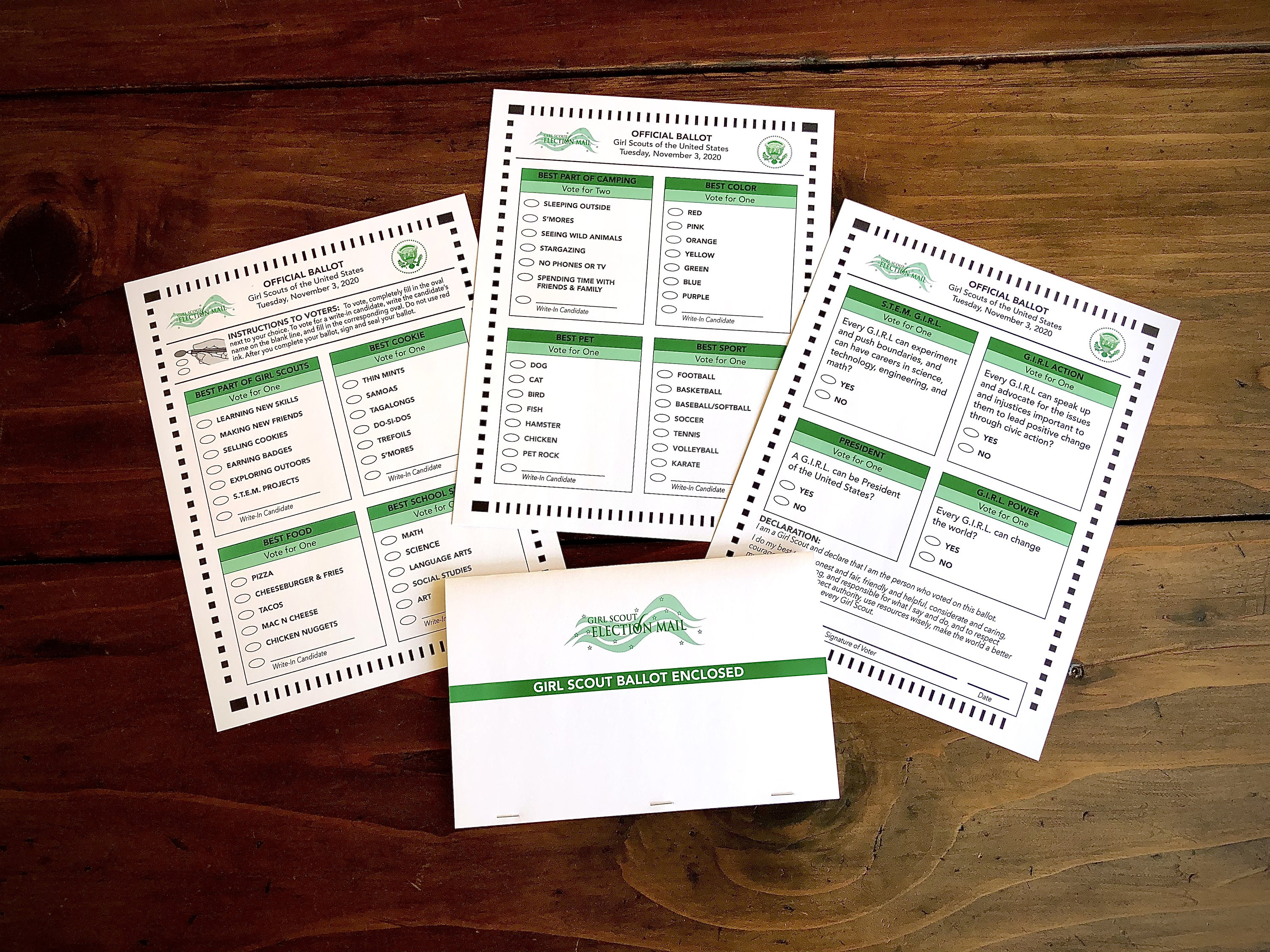 Girl Scout Theme Mock Election Ballot - Editable - INSTANT DIGITAL ...