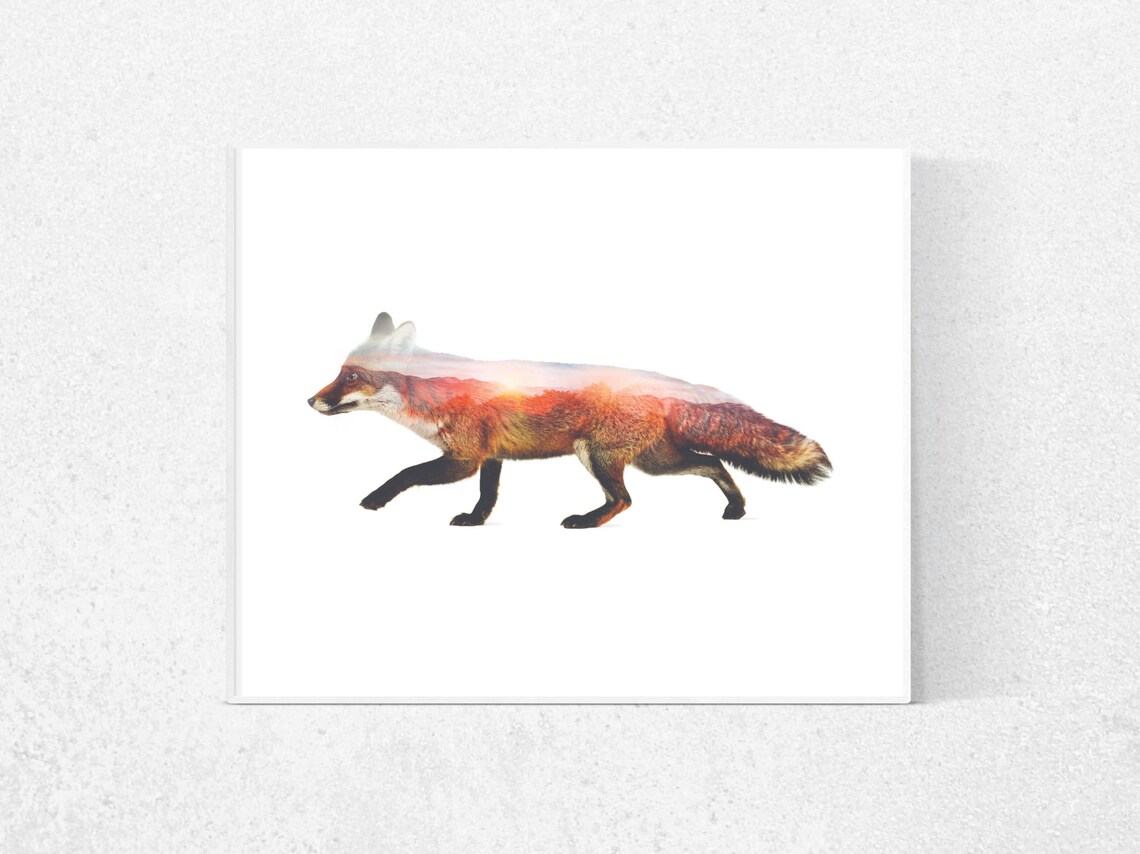 Poster de renard, affiche de renard, photo d'animal, art minimaliste ...