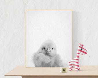 Fat Little Chicken Sketch Illustration 8.5 X 11 Black and White Animal ...