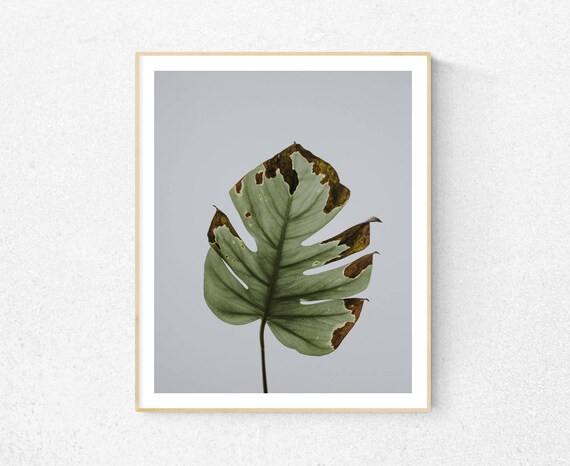 Leaf Print Greenery Poster Nature Wall Art Nature Poster | Etsy