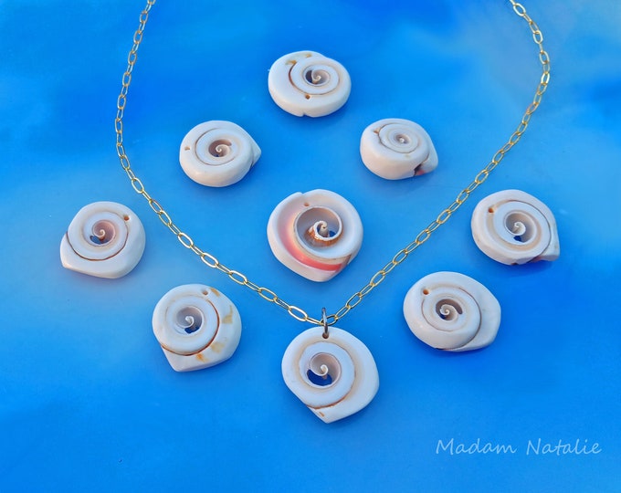 Spiral Shell Slices (12 Pc) Size: 20-30mm, Top Drilled Seashell ...