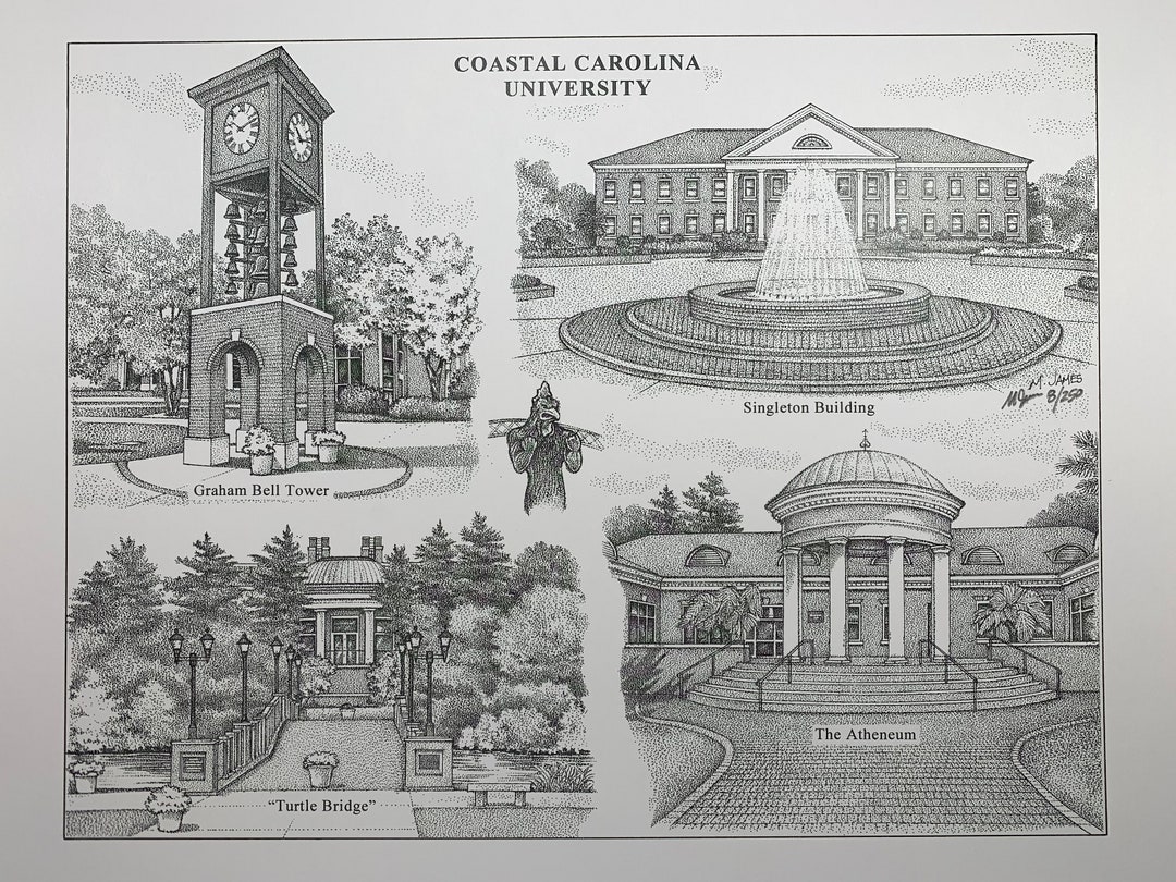 Coastal Carolina - 11"x14" Collage Drawing-pen and Ink Print - Etsy