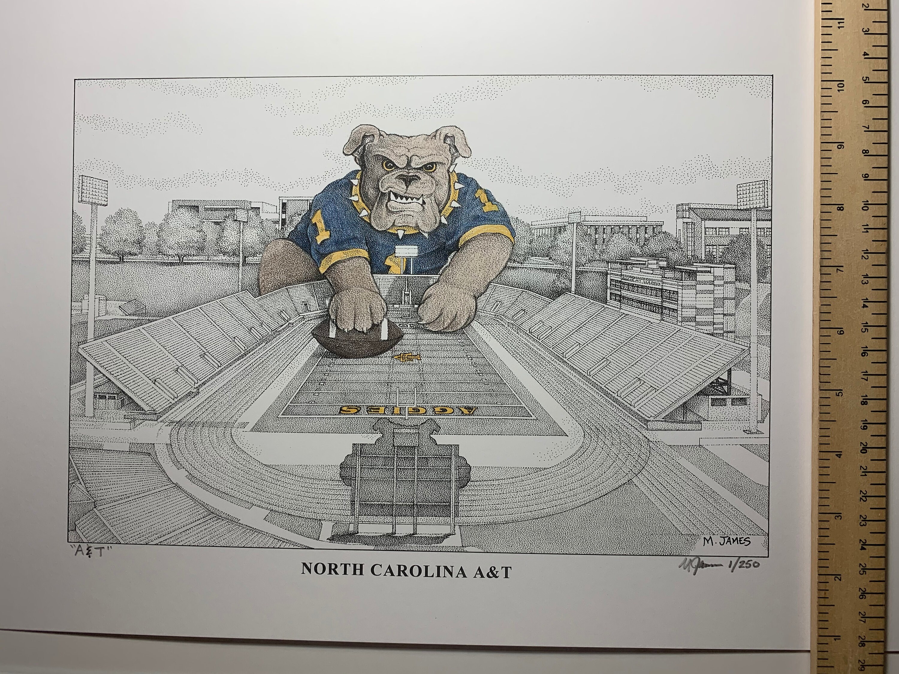 North Carolina A & T - Football Stadium 11"x17" Pen and Ink Print - Etsy