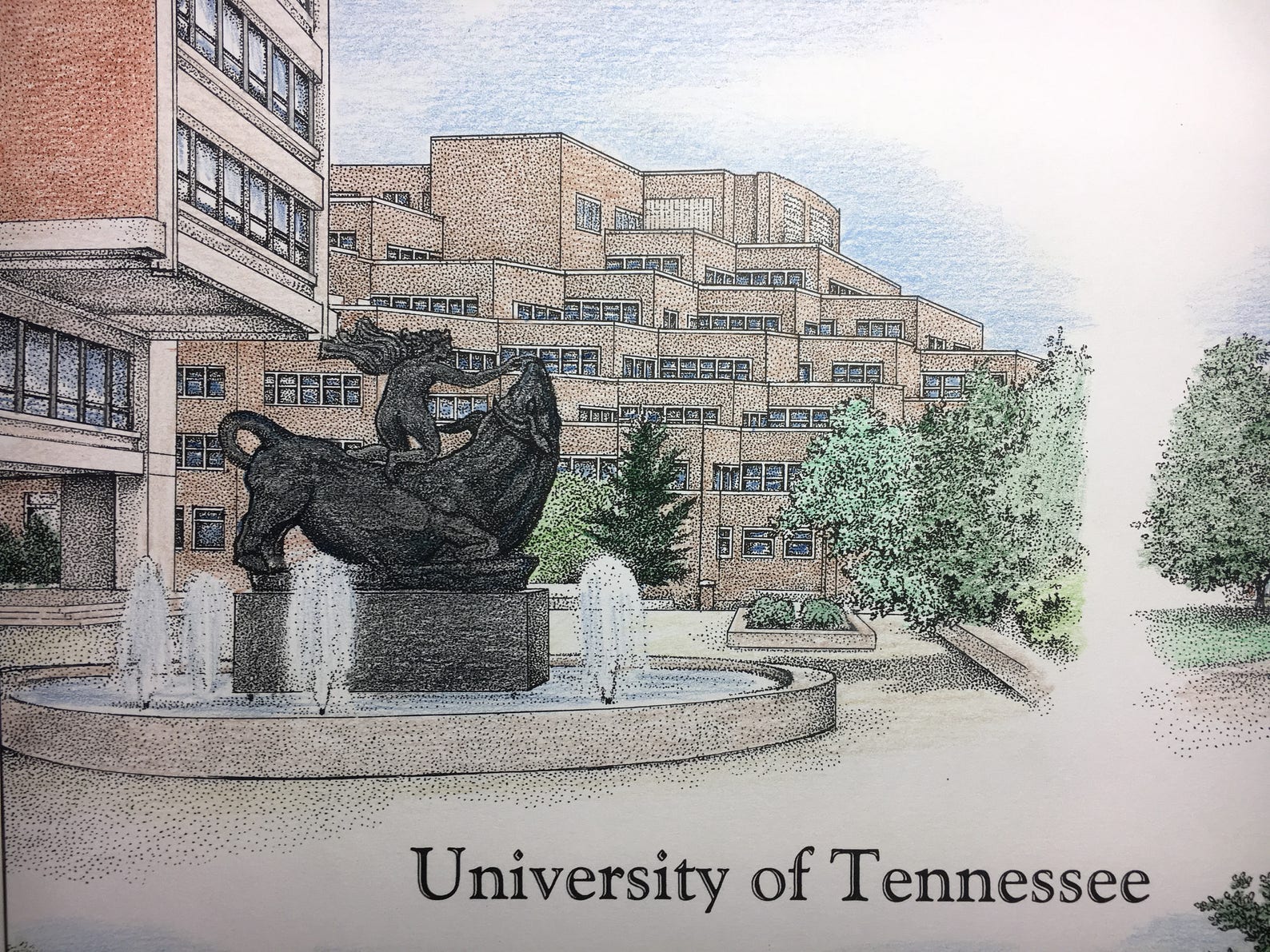 Tennessee 14"x18" Collage Pen and Ink Print - Etsy