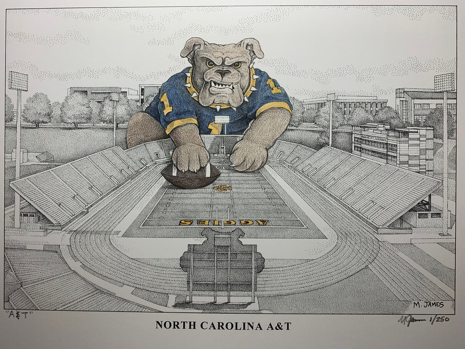 North Carolina A & T - Football Stadium 11"x17" Pen and Ink Print - Etsy