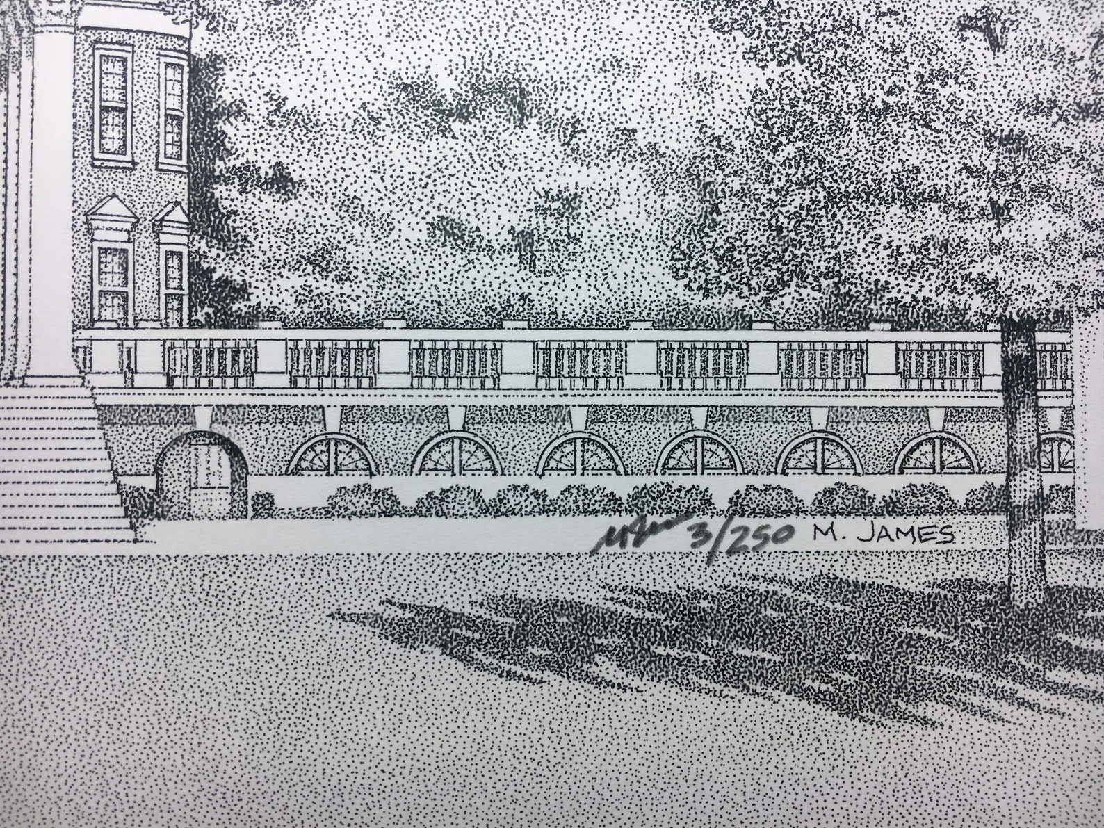 University of Virginia Rotunda Pen and Ink Drawing - Etsy