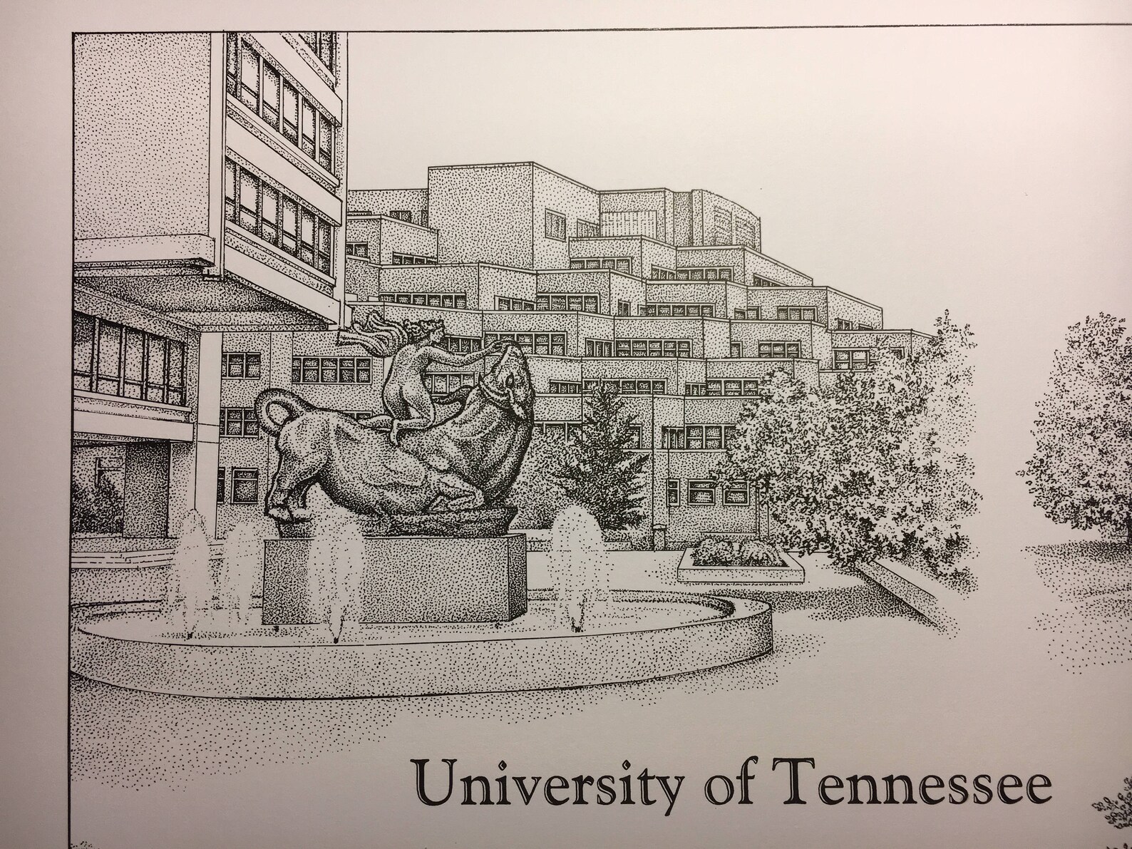 Tennessee 14"x18" Collage Pen and Ink Print - Etsy