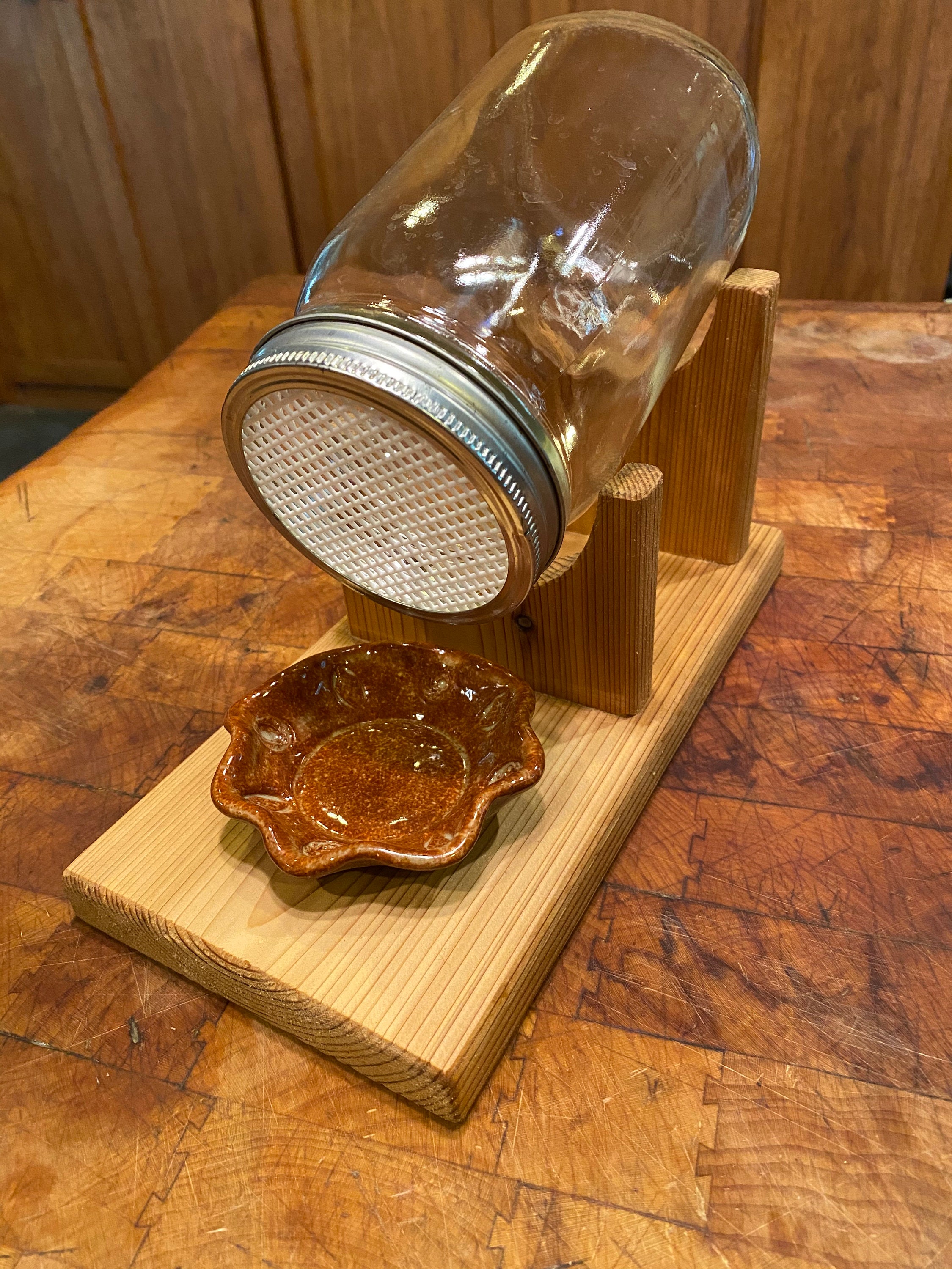 Sprouting Kit for Growing Healthy Sprouts