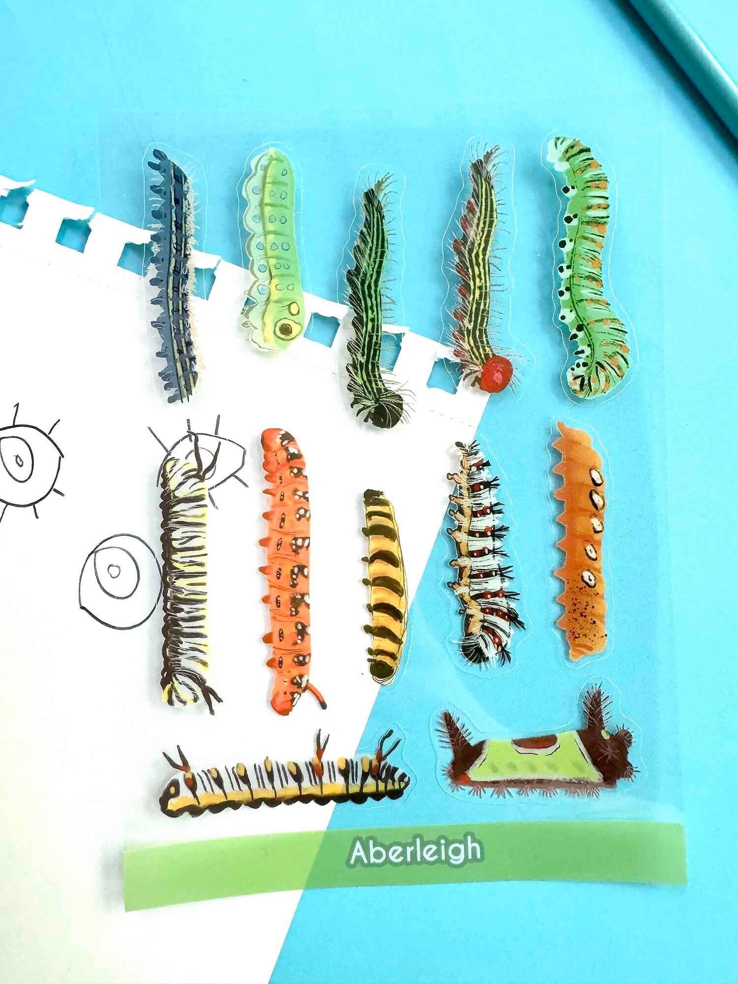 Caterpillar Clear Sticker Sheet - Etsy