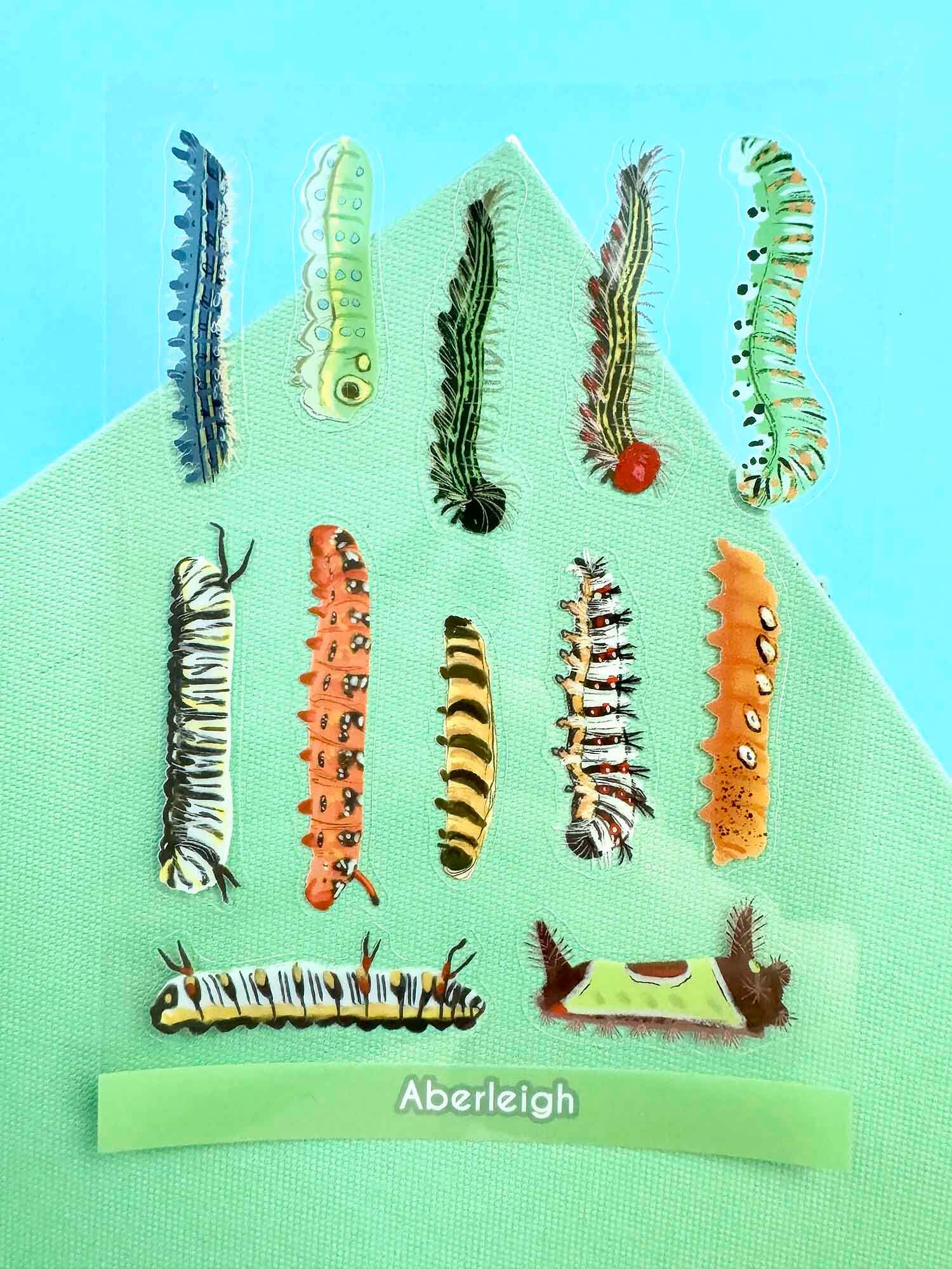 Caterpillar Clear Sticker Sheet - Etsy