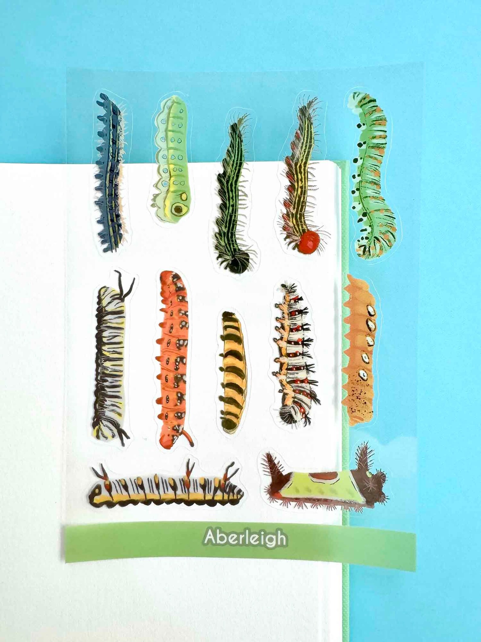 Caterpillar Clear Sticker Sheet - Etsy