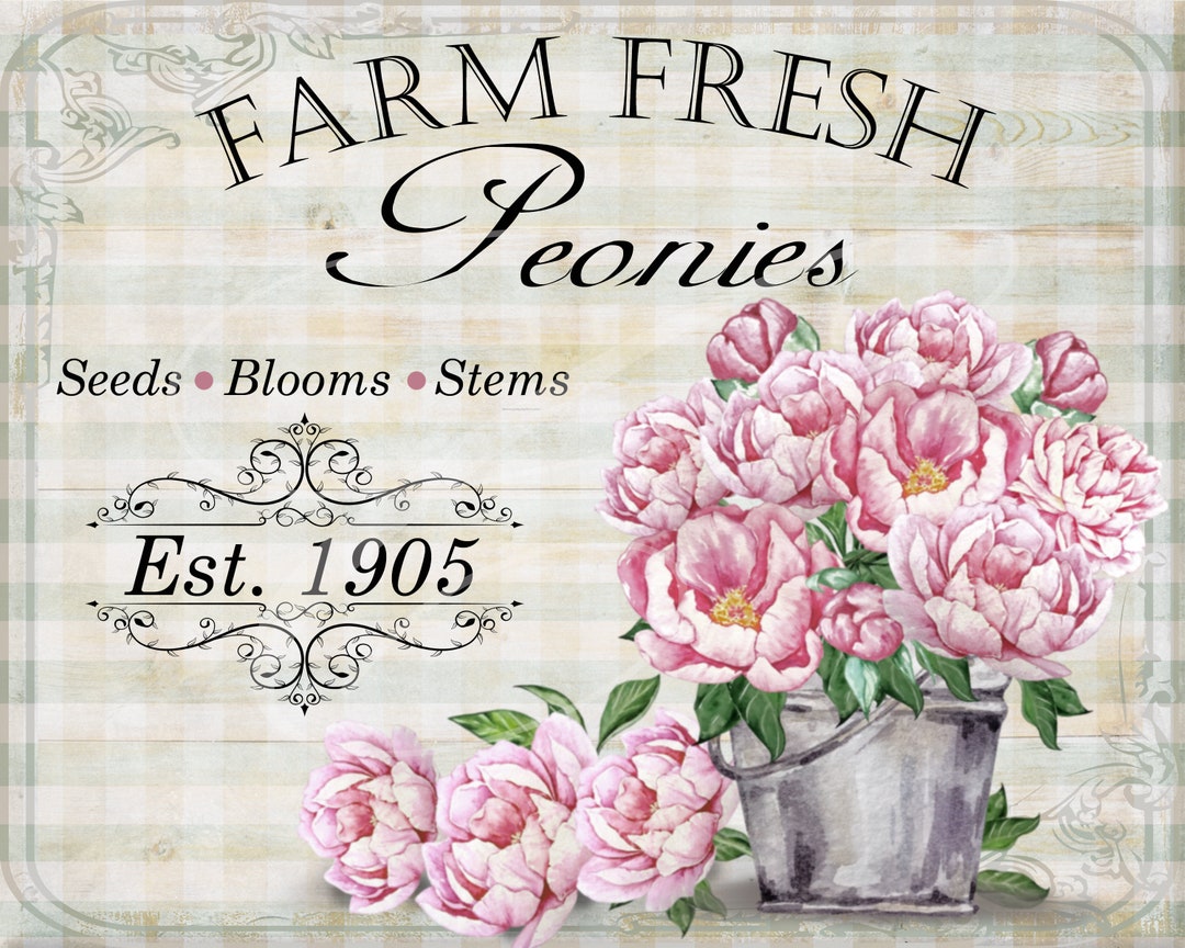 Primitive Vintage Farm Country Label Jpeg Digital Jpeg Jars, Tiered ...