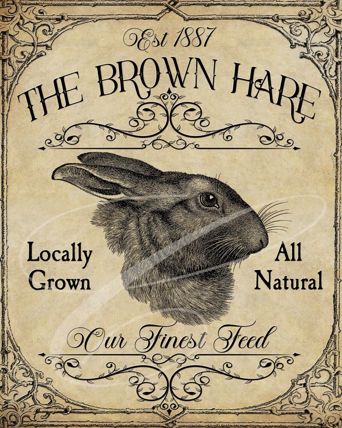 Primitive Vintage Farm Country Label Digital Jpeg Jars Tiered - Etsy