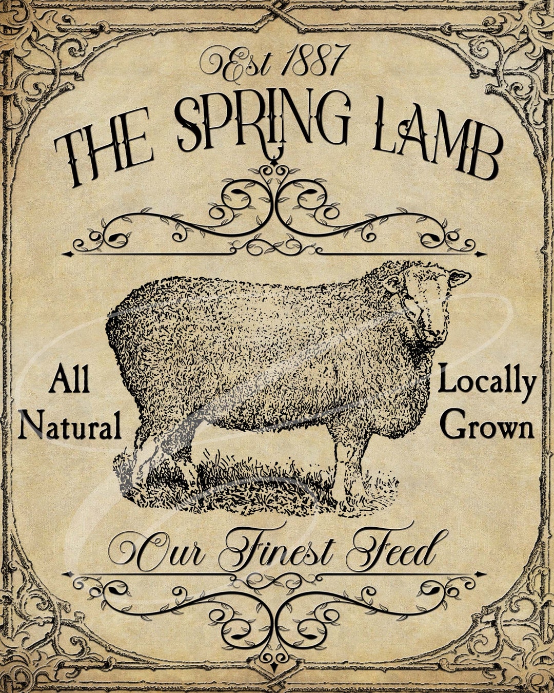 Primitive Vintage Farm Country Label Digital Jpeg Jars, Tiered Trays ...