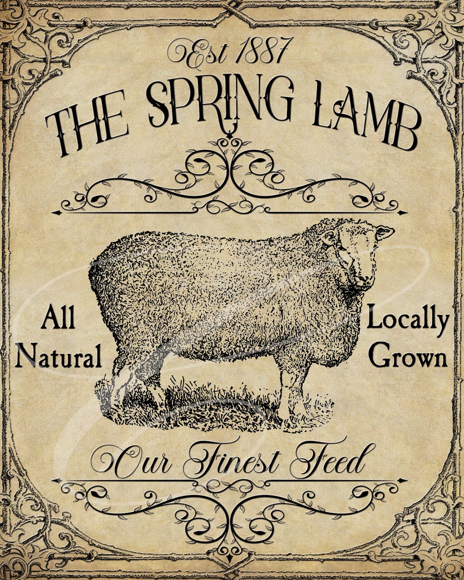 Primitive Vintage Farm Country Label Digital Jpeg Jars Tiered - Etsy