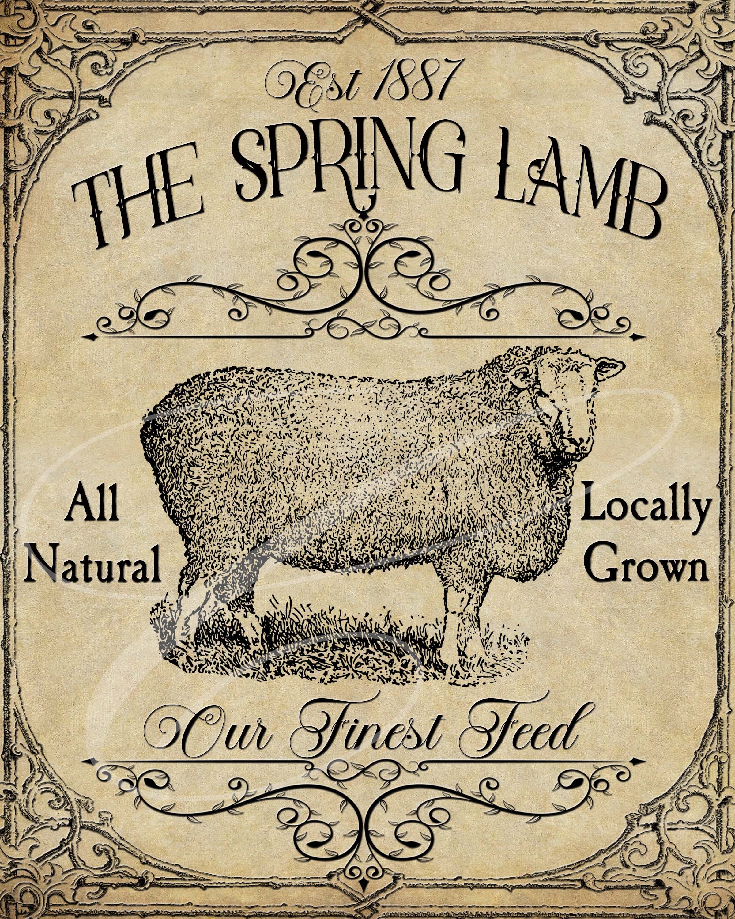 Primitive Vintage Farm Country Label Digital Jpeg Jars Tiered - Etsy