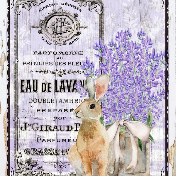 Lavender Rabbit - Etsy