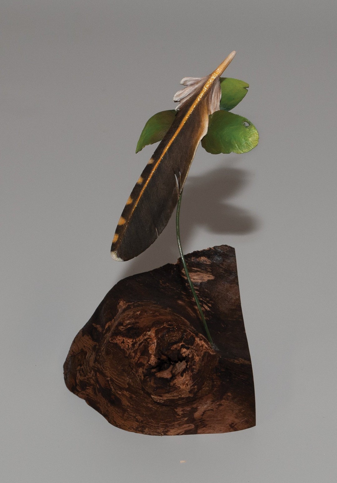 Hand-carved Northern Flicker Feather Suspended by Young Buckthorn Plant ...