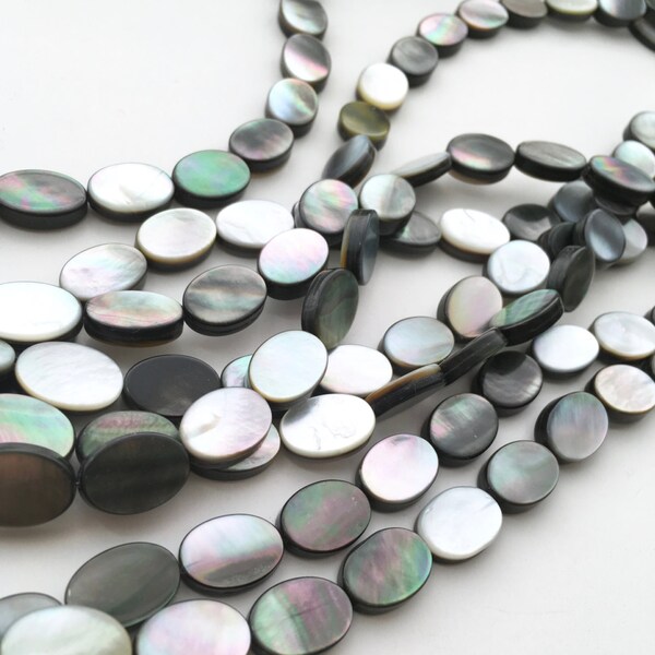 Black Lip Shell - Etsy