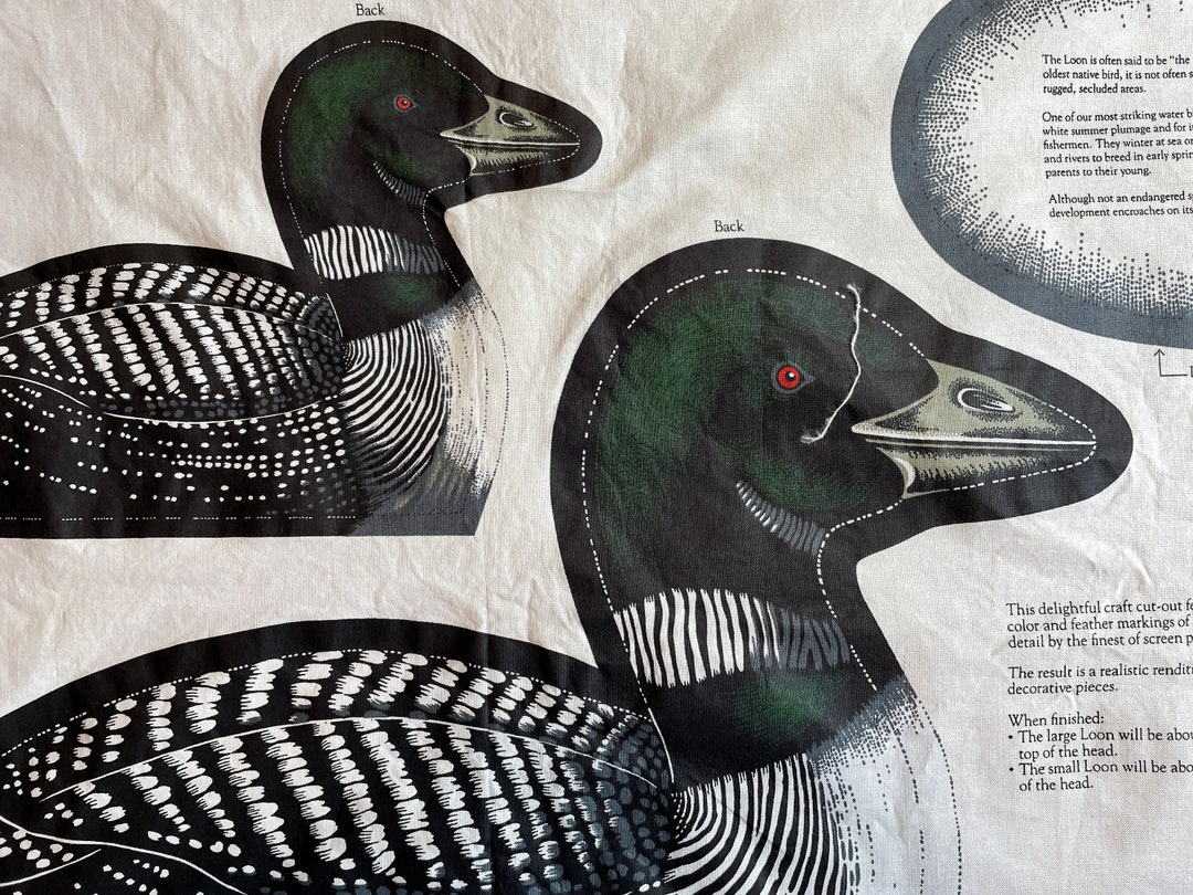 Water Birds Collection Loon Cut-out Fabric Panel - Etsy