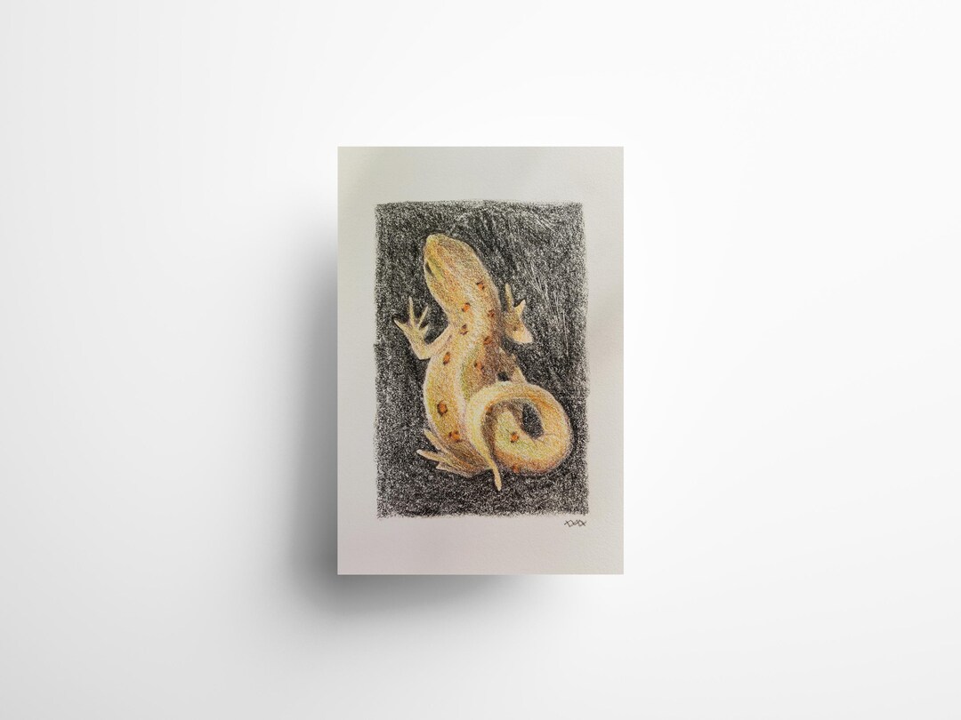Red-spotted Newt Digital Art Print, Instant Download, Fall Wall Decor ...