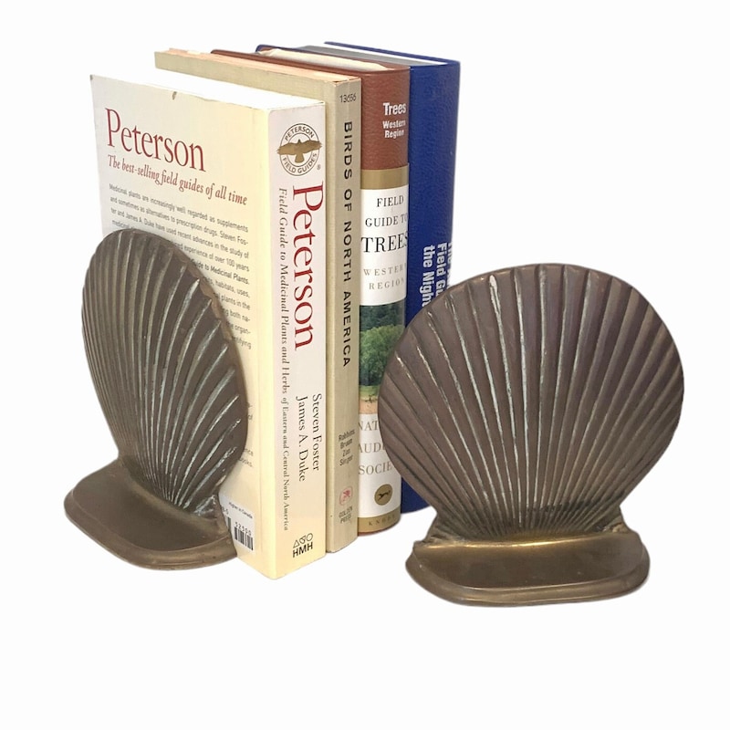 Shell Bookends - Etsy