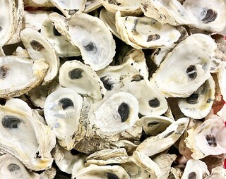 CarolinaPearlz - Etsy