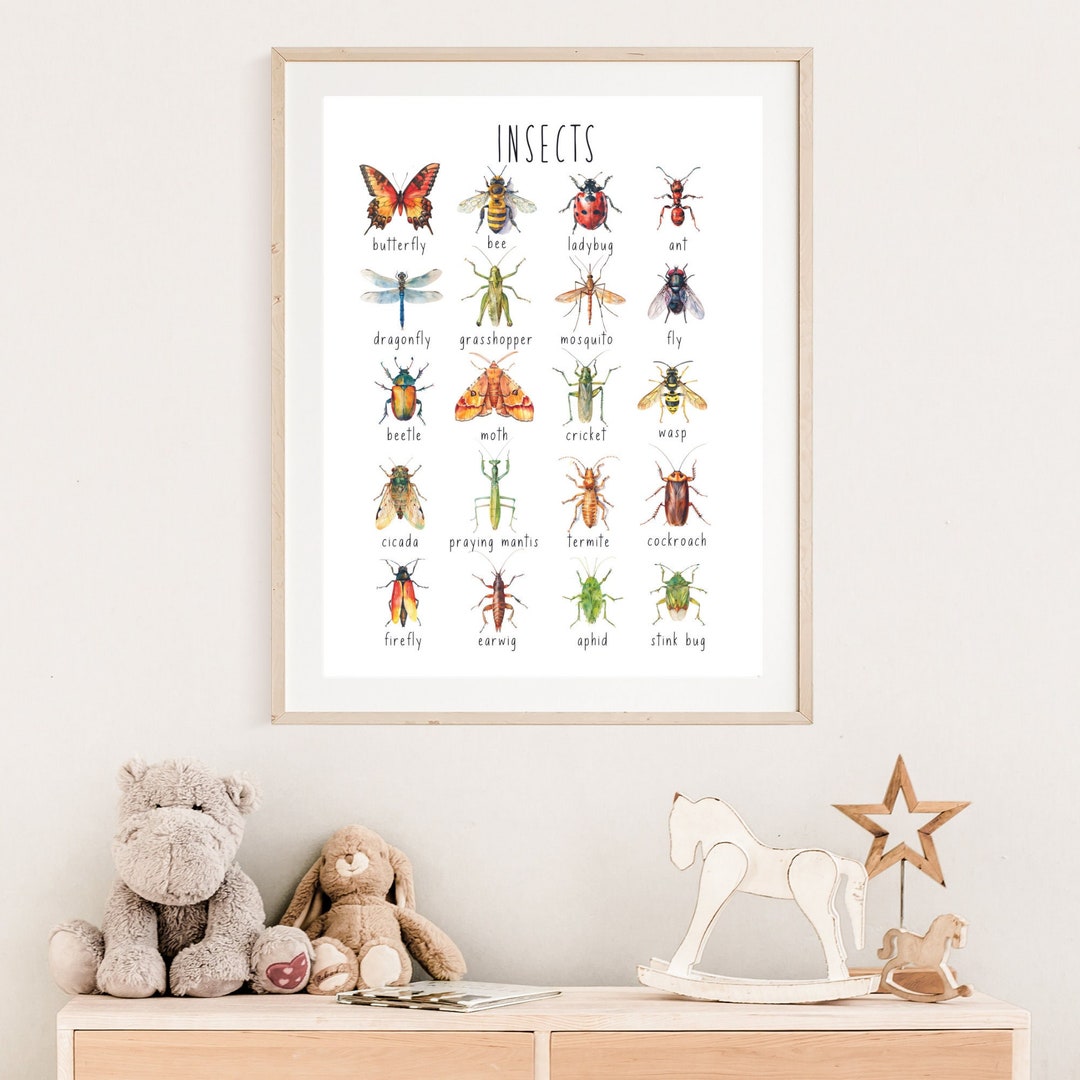 Educational Insects Poster, Bugs Print, Nature Classroom Decor ...