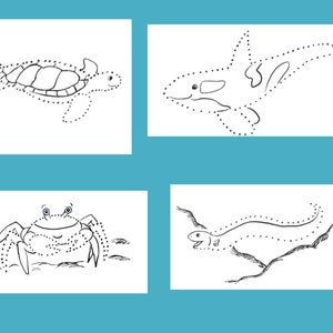 Buy Sea Animals Worksheets Set 1 Drawing With Dots Dot to Dot Ocean ...