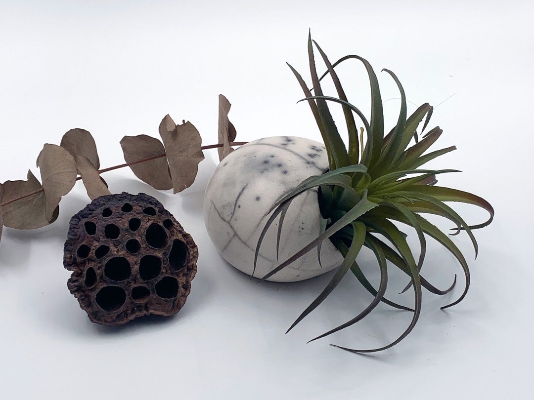 Nude Raku Ceramic Ball for Plant or Air Girl. the Wabi-sabi Spirit of ...