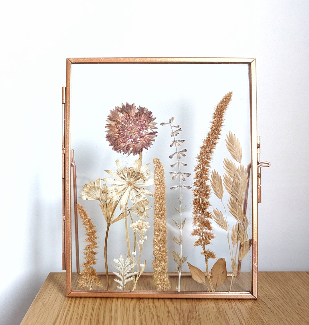 Pressed Flower Display 5x7" Glass Standing Metal Frame - Etsy