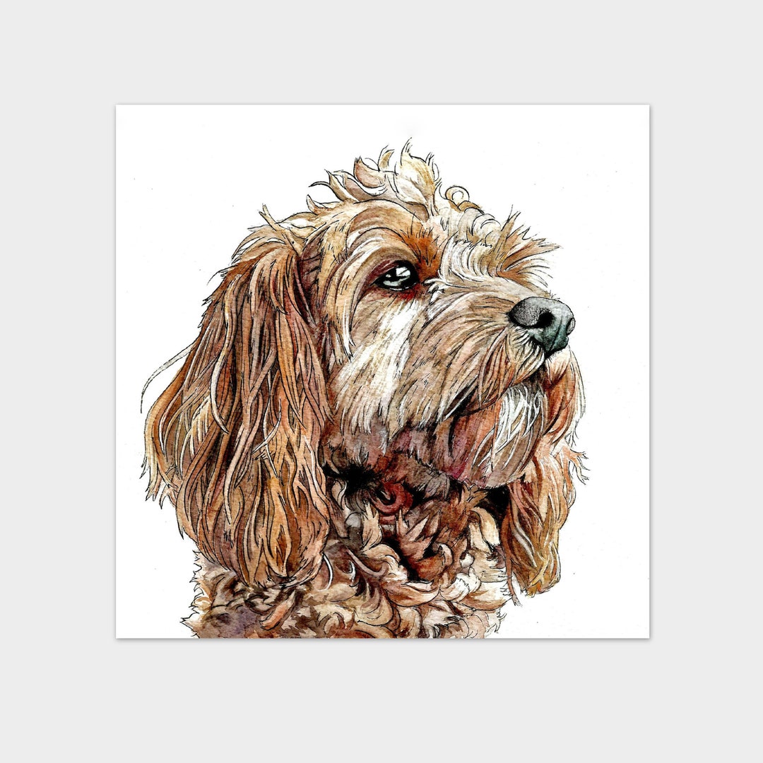 Small/med Art Print Cockapoo Dog Watercolour and Pen Pet Painting - Etsy