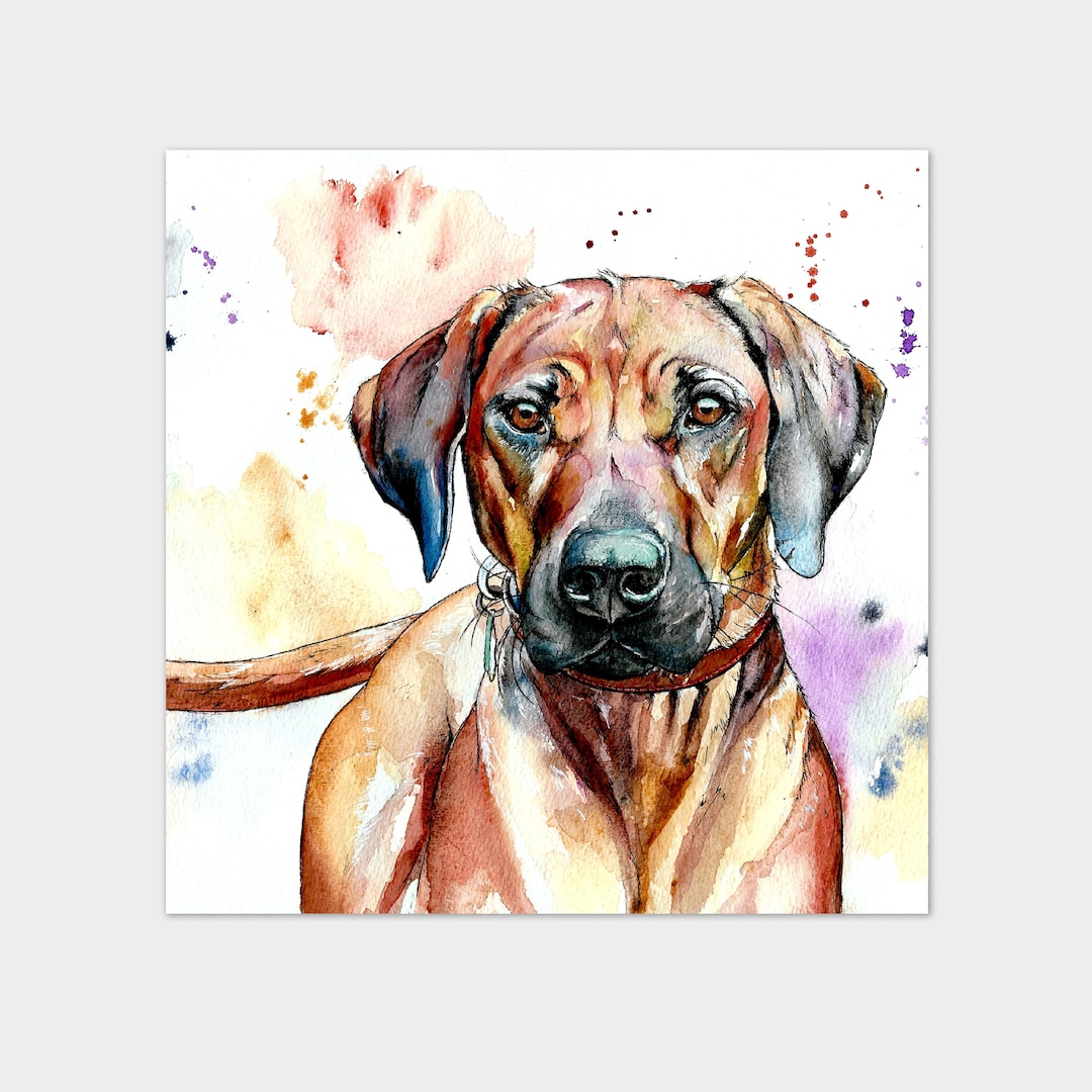 Small/med Art Print Rhodesian Ridgeback Dog Watercolour and Pen Pet ...