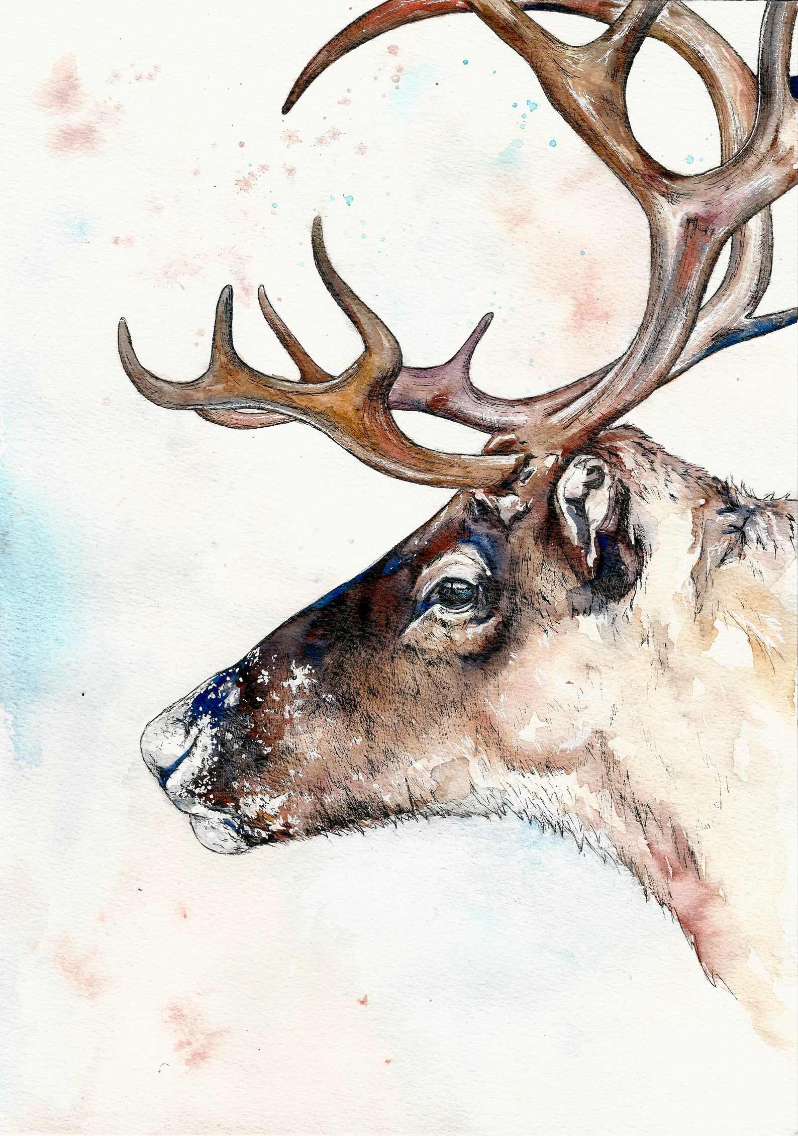 Limited Edition A4 Watercolour and Pen Reindeer Christmas - Etsy