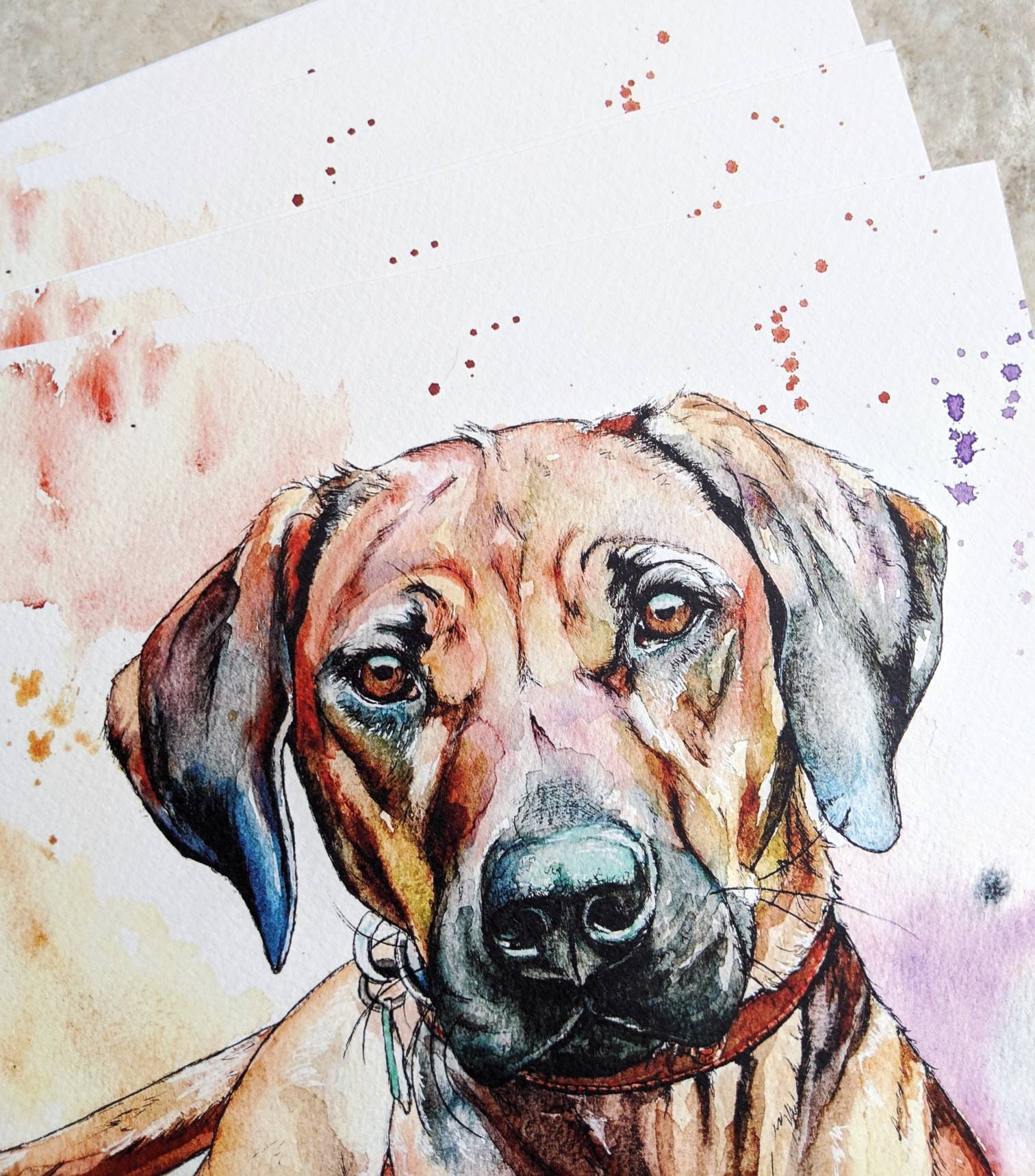 Small/med Art Print Rhodesian Ridgeback Dog Watercolour and - Etsy