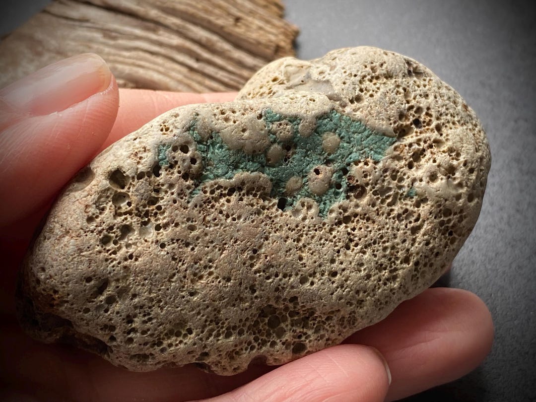 Raw Spongy Sea Lava Stone One of Kind Porous Slag Stone AOK Coast Find ...