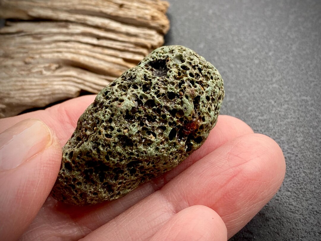 Porous Small Sea Pebbles Singular Sea Pebble for Real Collectors Green ...