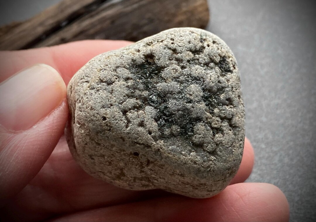 Unusual Gray Sea Pebble for Nautical Collection Real Unique Sea Slag ...