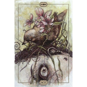Hush Tarot Deck Cards With Guidebook by Jeremy Hush - Etsy