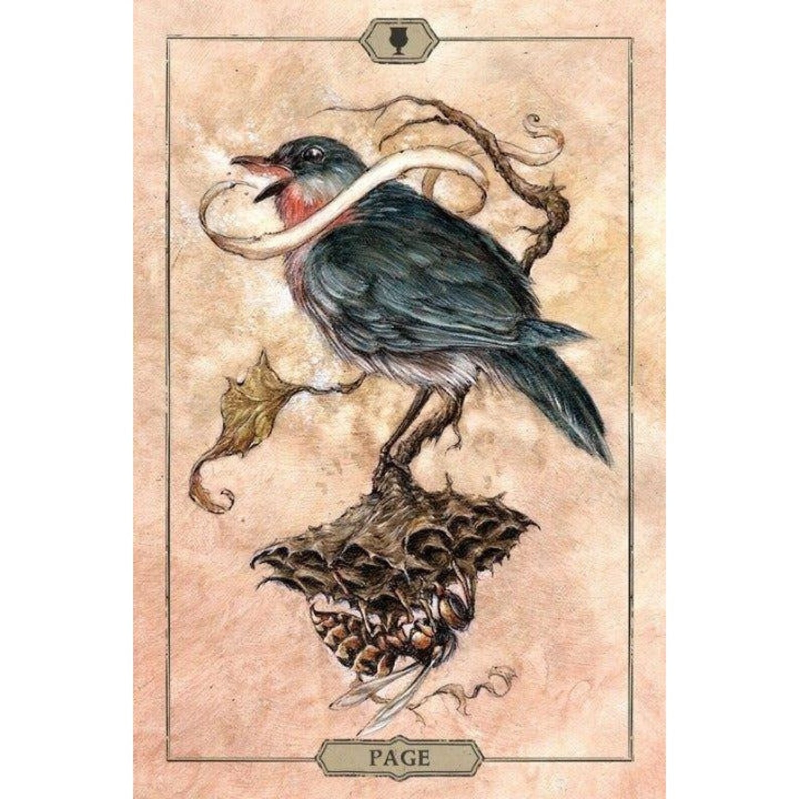 Hush Tarot Deck Cards With Guidebook by Jeremy Hush - Etsy