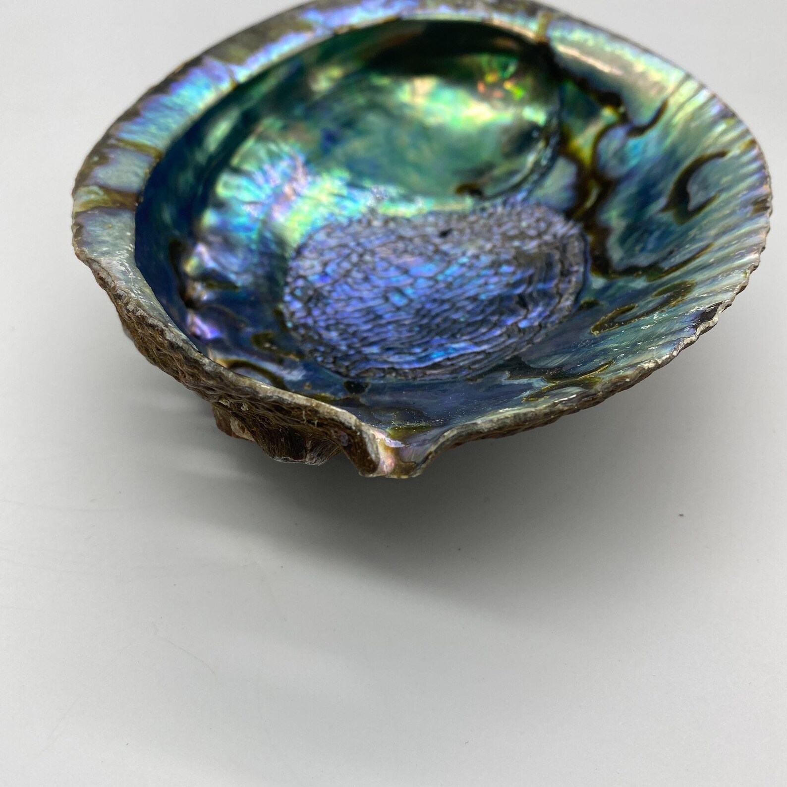 Large Abalone Shell Smudge Bowl 6 Colorful Abalone | Etsy