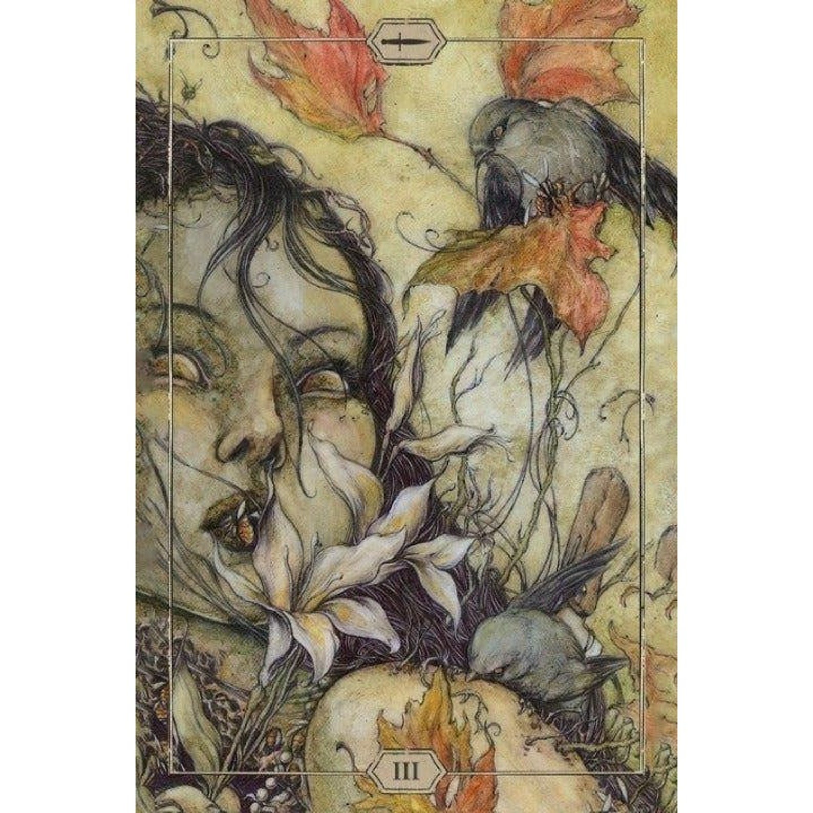 Hush Tarot Deck Cards With Guidebook by Jeremy Hush - Etsy