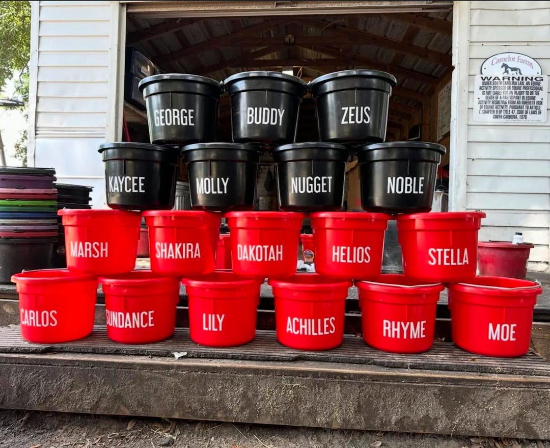 Horse Bucket Name Decal - Etsy