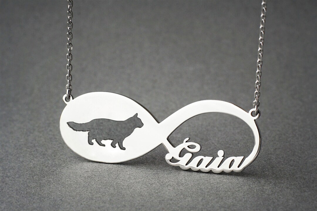 Personalized Longhaired Cat Infinity Necklace: Sterling Silver Memorial ...