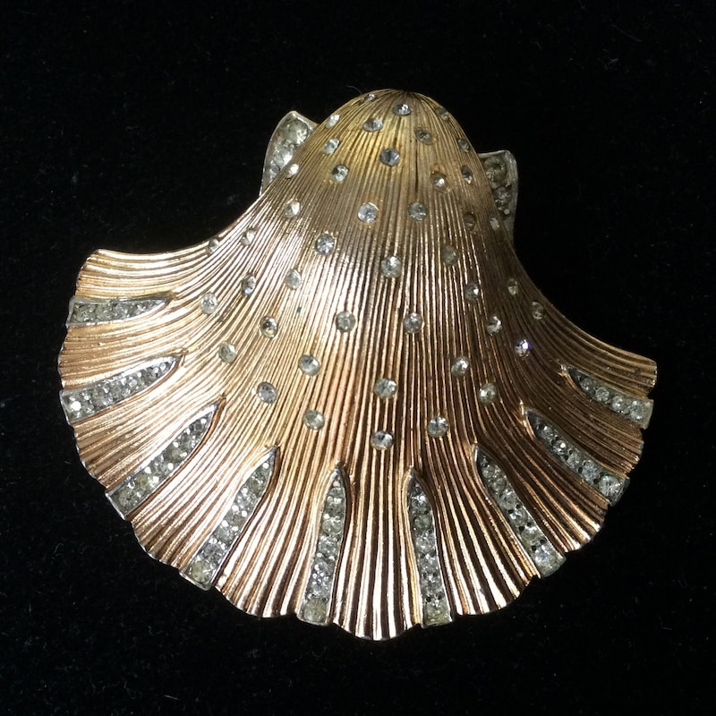 Shell Brooch - Etsy