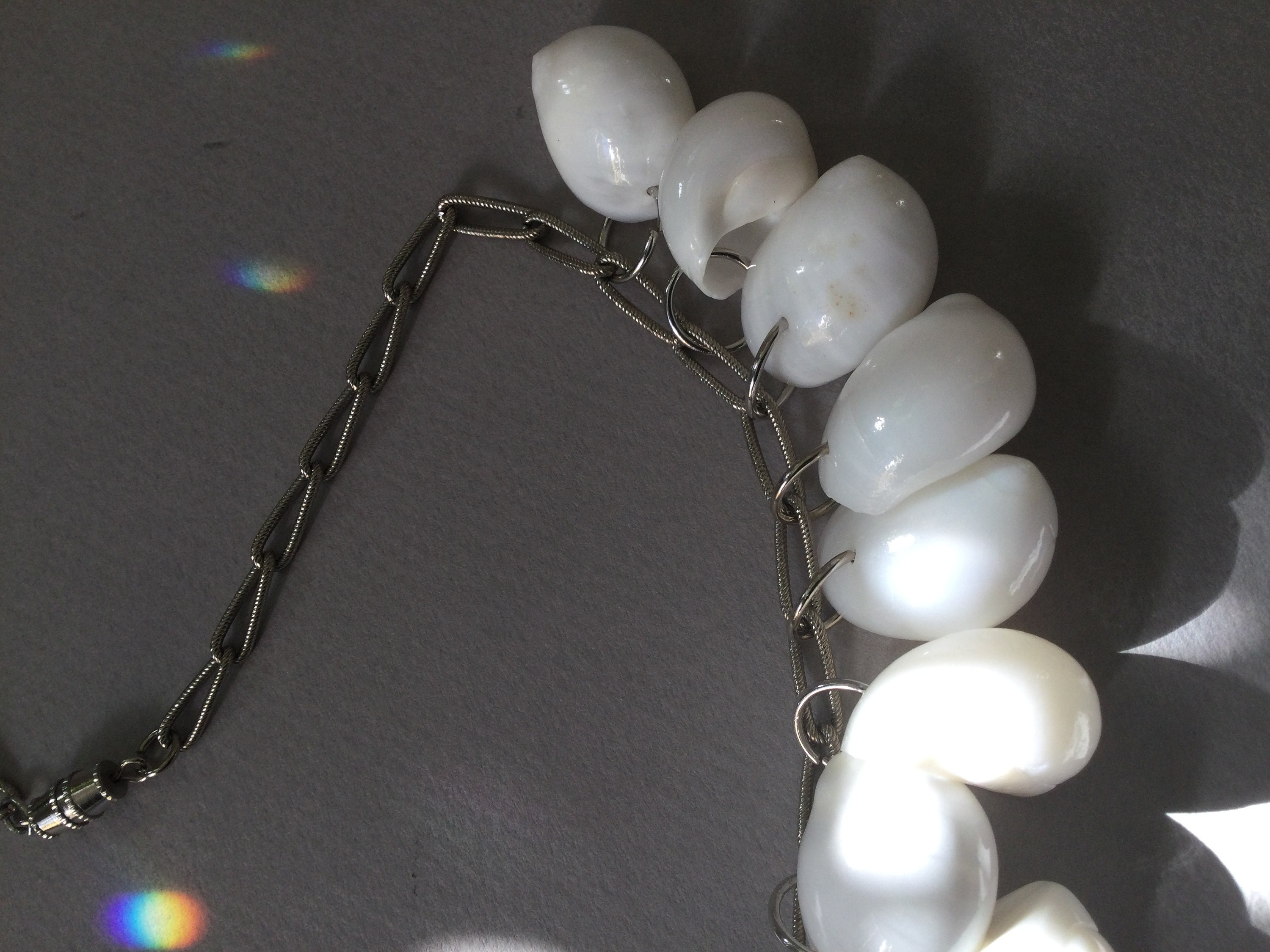 Caribbean White Milk Moon Snail Shell Necklace - Etsy