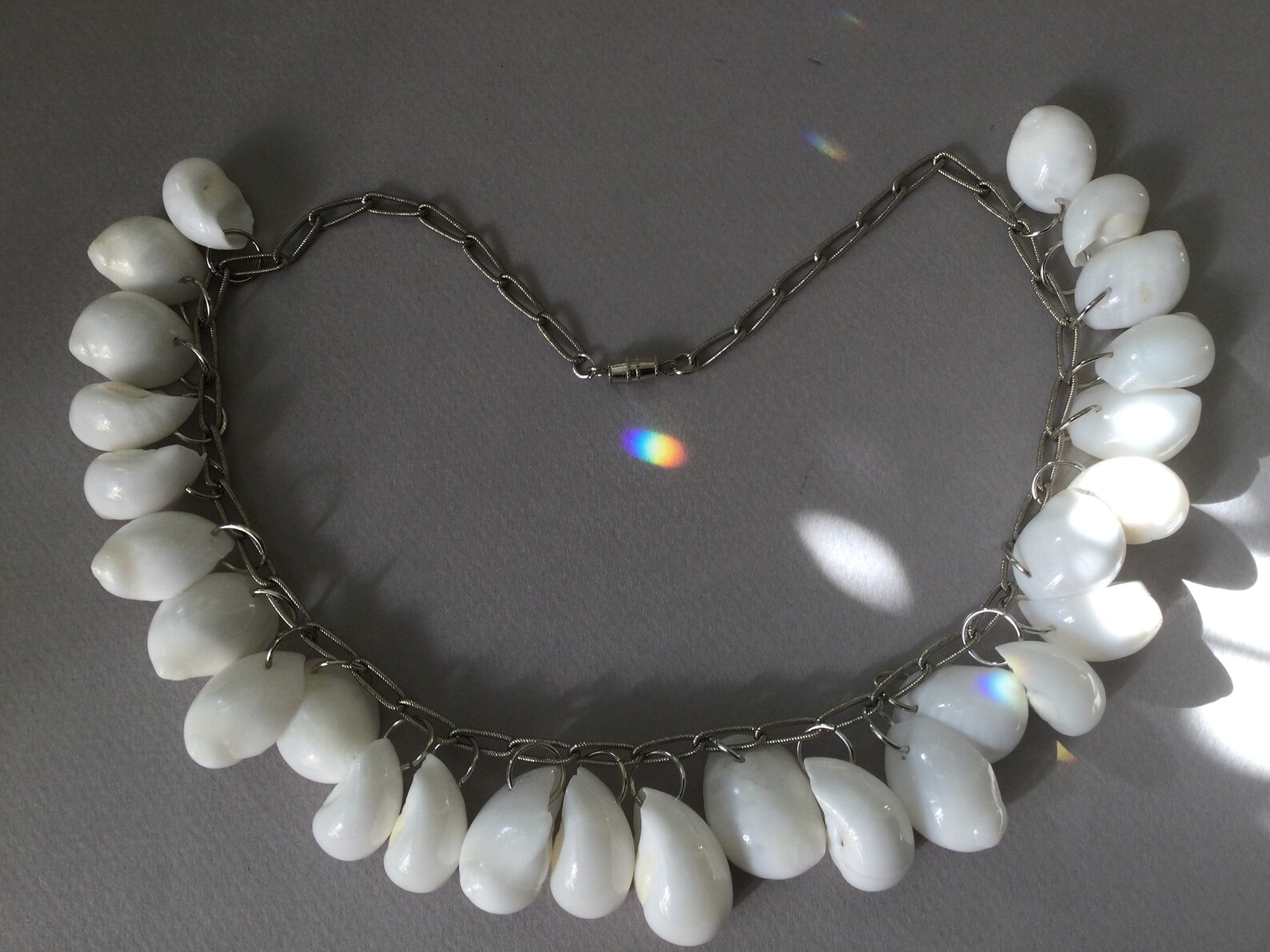 Caribbean White Milk Moon Snail Shell Necklace - Etsy