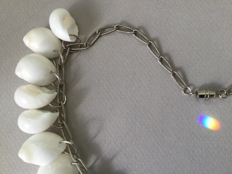 Caribbean White Milk Moon Snail Shell Necklace - Etsy