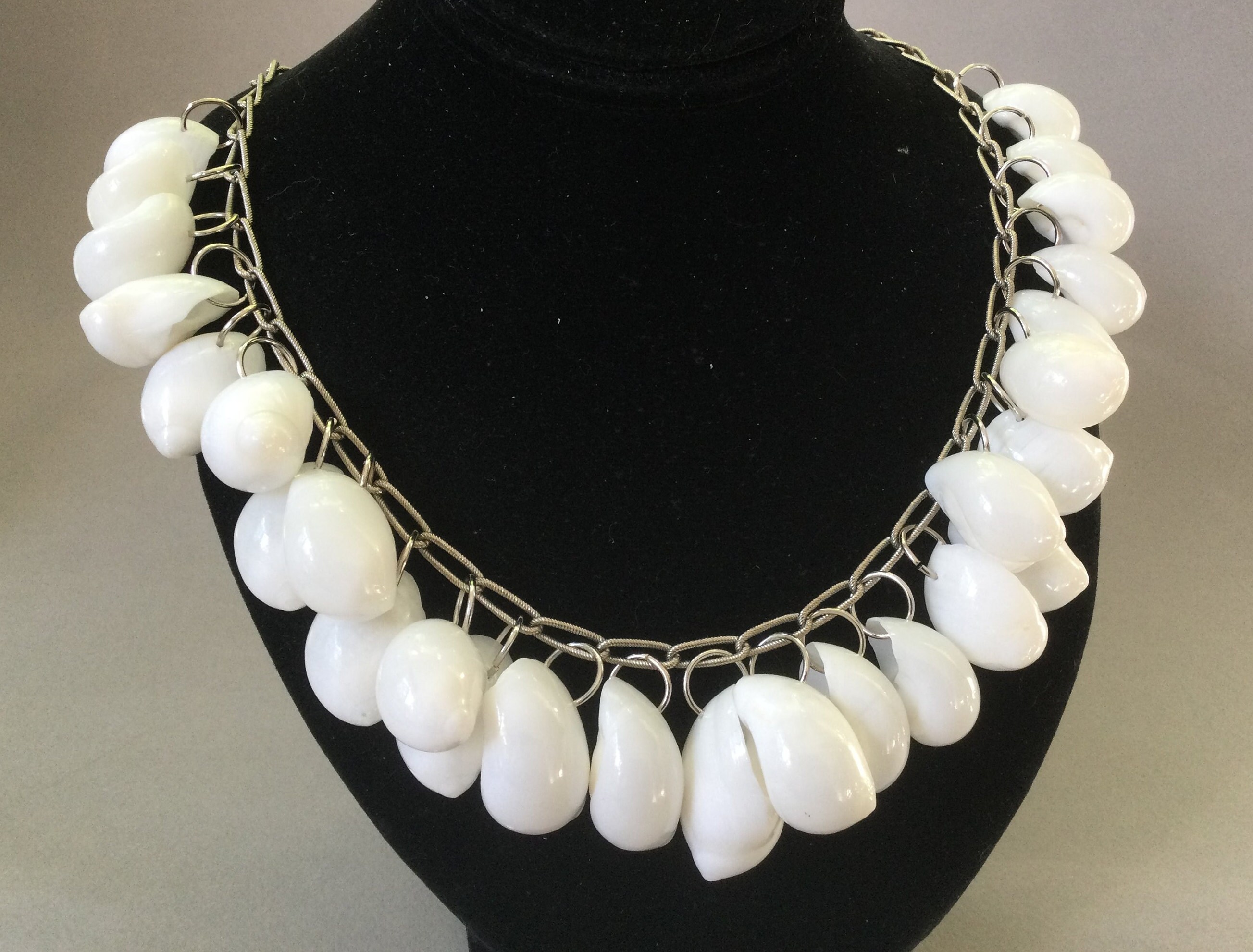 Caribbean White Milk Moon Snail Shell Necklace - Etsy