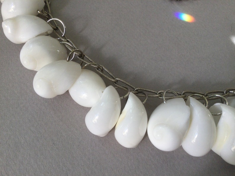 Caribbean White Milk Moon Snail Shell Necklace - Etsy